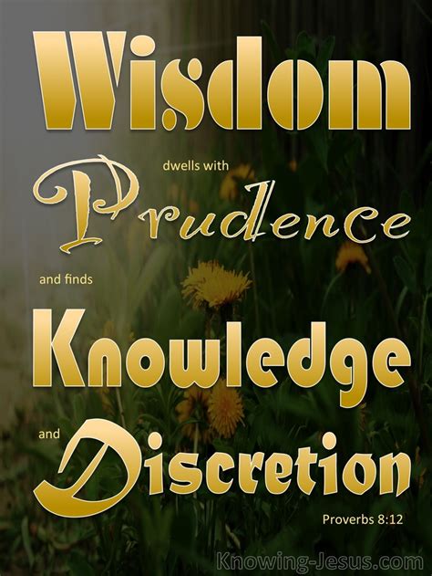 Proverbs 8 12 “i Wisdom Dwell With Prudence And I Find Knowledge And Discretion