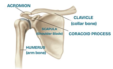 Shoulder Dislocation Physiotherapy Help
