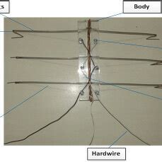 Structure Of Hexapod Download Scientific Diagram