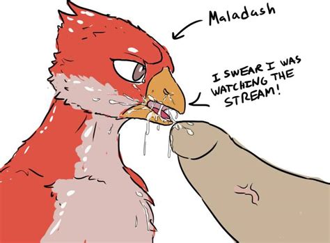 Rule 34 Avian Avian Starbound Cum Cum In Mouth Cum Inside Feathers