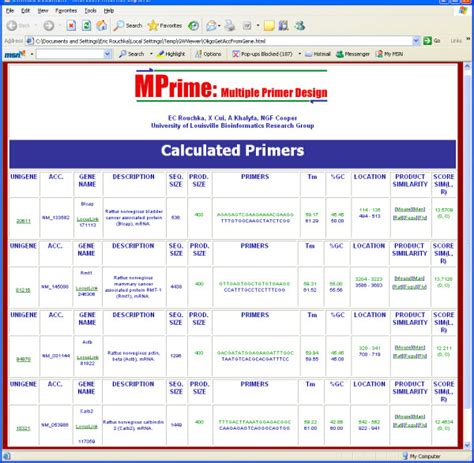 Web Interface And Example Of Primer Pair Output The Initial Inputs
