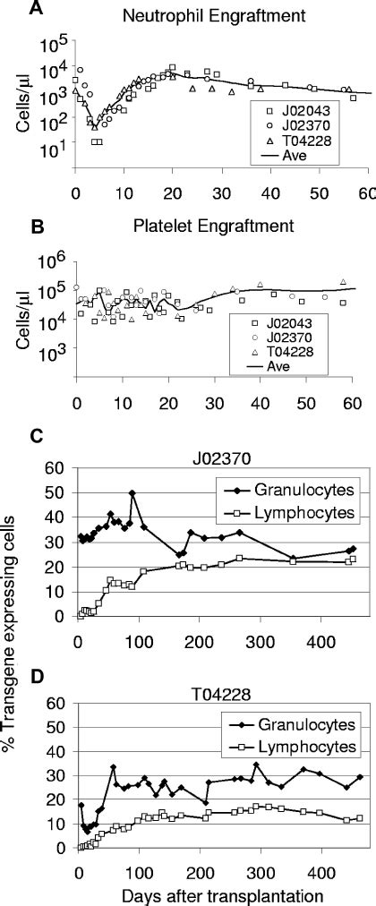 Gene Marking Levels In Peripheral Blood Cells Of Monkeys That Received