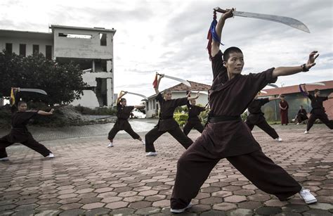 Artes Marciais Mistas Artes Marciais Variadas Defesa