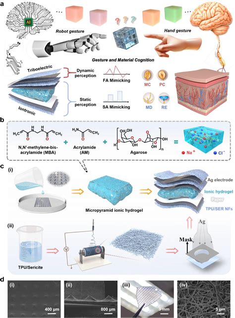 Bio‐inspired Sa‐fa Bionic Dual Receptor Electronic Skin For Intelligent Gesture And Material