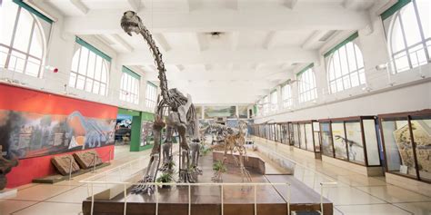 En La Noche De Los Museos De Buenos Aires La Ciencia También Fue