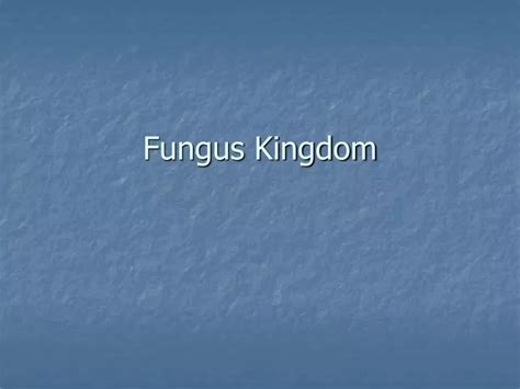 Ppt Fungus Kingdom Powerpoint Presentation Free Download Id1760402