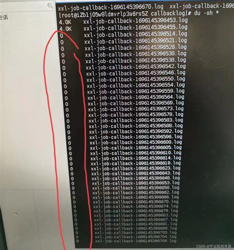 xxl rpc util XxlRpcException或者Caused by java io EOFException