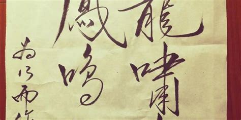 邓清明为神舟十三号所作书法：龙啸苍穹，凤鸣九天！手机新浪网