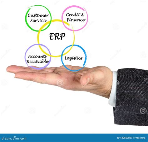 Components Of ERP Stock Image Image Of Person Program
