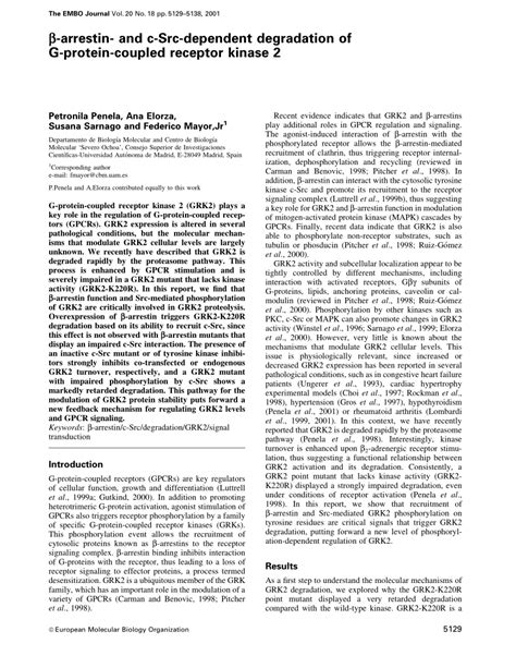 Pdf Beta Arrestin And C Src Dependent Degradation Of G Protein