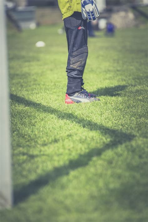 무료 이미지 잔디 목초지 봄 녹색 색깔 축구 피치 축제 드레스 사격 돌진 클립 골키퍼 관리인 차는