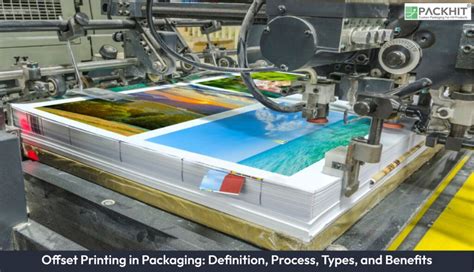 Offset Printing In Packaging Definition Process Types And Benefits