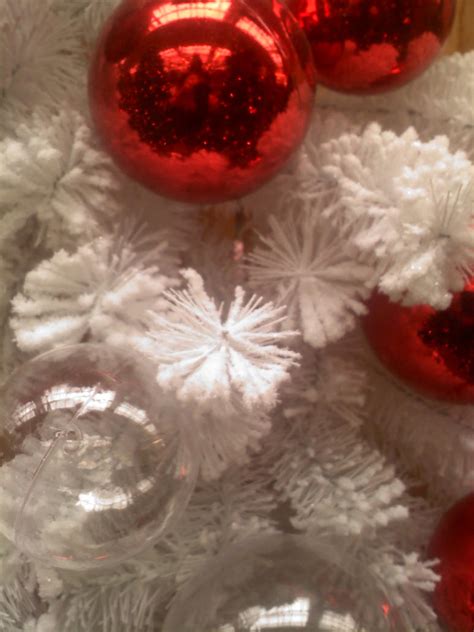 Christmas Reef By Erin72 On Deviantart