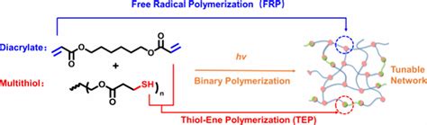 [科研进展] 通过硫烯聚合和自由基聚合的二元聚合构建和调节巯基丙烯酸酯网络 化学化工学院功能大分子科研团队