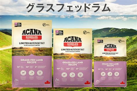 【楽天市場】アカナ シングル グラスフェッドラム 2kg ドックフード 穀物不使用 グレインフリー ラム 犬 シングルプロテイン：ペットアル