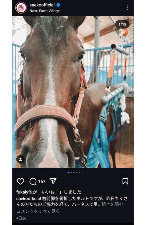 【画像・写真】ダルビッシュ有＆紗栄子「遺伝子ってすごい」16歳長男・道休蓮、『n21』ファッションショー出席は“母親同伴” 週刊女性prime