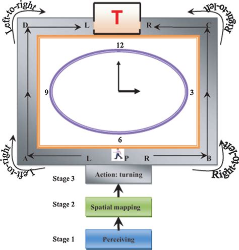 A Three Stage Perception Of Spatial Mapping Action Laterality