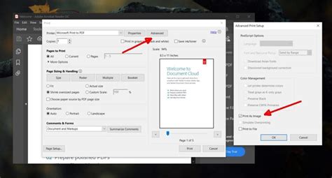 Can T Print PDF With Adobe Reader On Windows SOLUTIONS