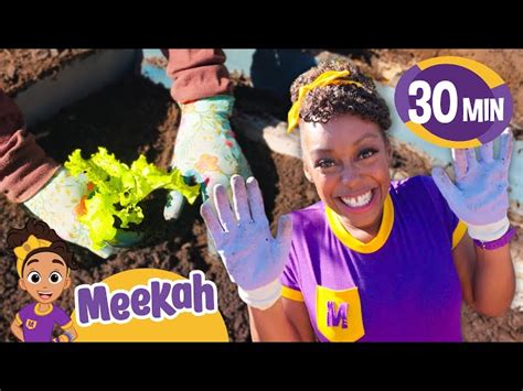 Meekah Takes Care Of The Earth Best Of Meekah Learn Colors And
