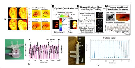 A Left The Thermal Difference Between Inhalation And Exhalation In Download Scientific