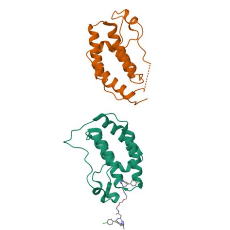 Gene O60885 Protein Brd4 Domains And Structures Cansar Ai