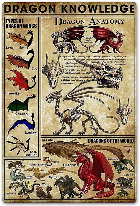 Dragon Wing Anatomy