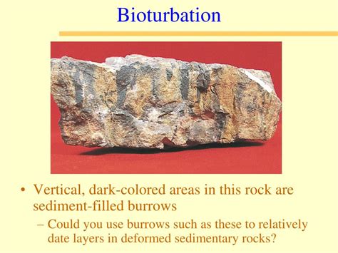 Ppt Sedimentary Rocks— The Archives Of Earth History Sedimentary