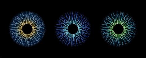 Premium Vector Iris Poster