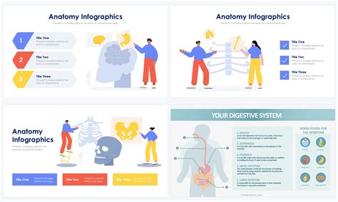 Anatomy Slides Slidino
