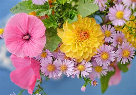 Обои букет цветы на рабочий стол