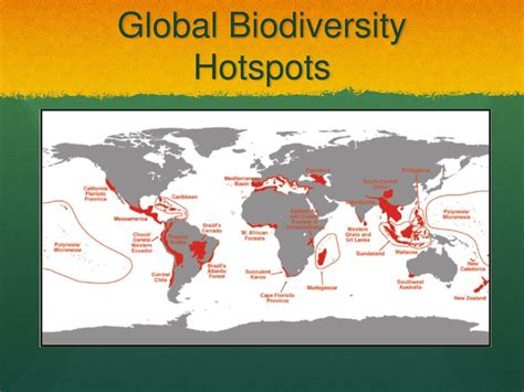 Ppt Biosphere Powerpoint Presentation Free Download Id9072557
