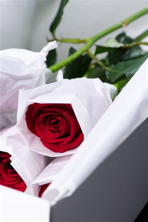 生花 花の通販なら花百花 ‐hanahyakka‐