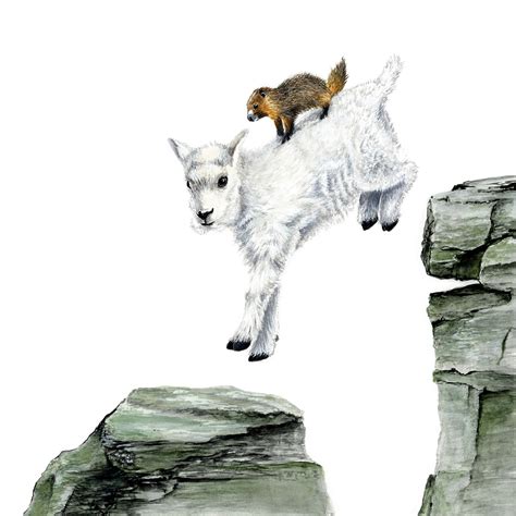 Shop Barbara Schelling