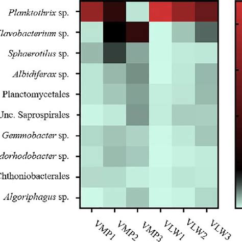 Heatmap Of Microbial Community Structure On The Genus Level With The