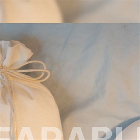 스펙트라🍼 「 Christmas T 」 🎅 Ho Ho Ho 스펙트라 산타가 크리스마스를 맞이하여 선물을 한가득 준비했어요 원하는 색상의 선물 상자를 골라