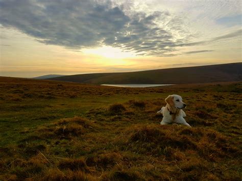 10 Romantic Things To Do In Devon Life Out The Hive