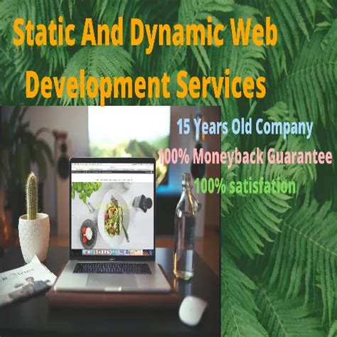 HTML5 CSS Static And Dynamic Web Development Services With 24 7