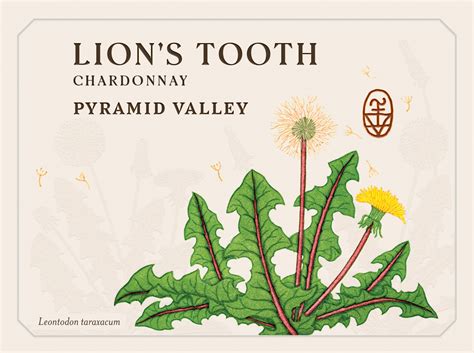 Origin Verification Pyramid Valley