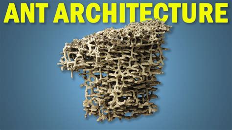 Exploring Ant Nest Architecture With Molten Metal Tracking With