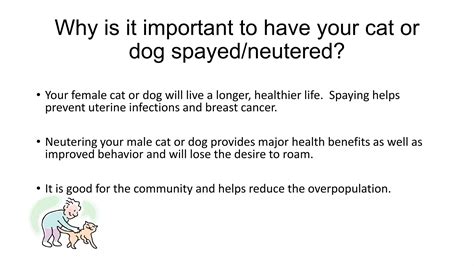 The Importance Of Spaying And Neutering Your Cat Pptx
