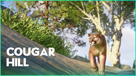 Detailed And Natural Cougar Habitat Planet Zoo Speedbuild Youtube