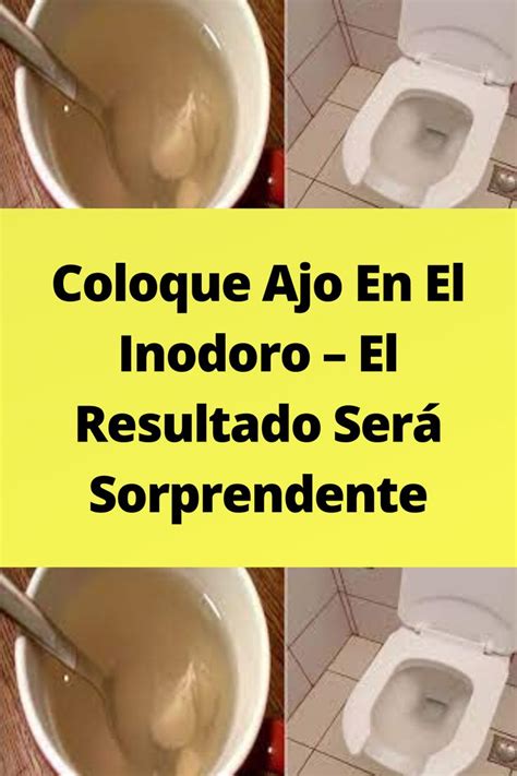 Coloque Ajo En El Inodoro El Resultado Será Sorprendente Limpiar inodoro Como limpiar el