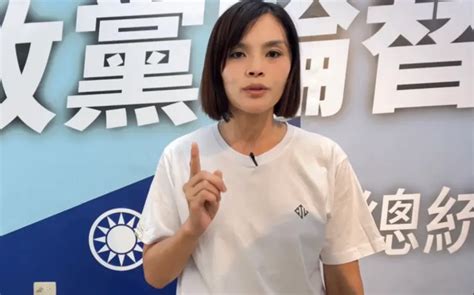 激戰立法院／藍爭最大黨！立委上看50席 她是南台灣破蛋希望 政治快訊 要聞 Nownews今日新聞