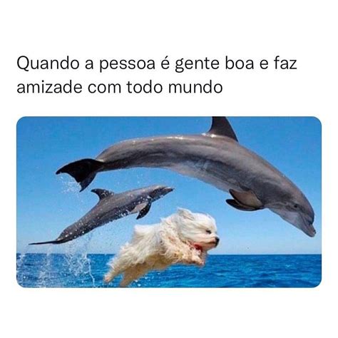 Quando A Pessoa é Gente Boa E Faz Amizade Com Todo Mundo Memes