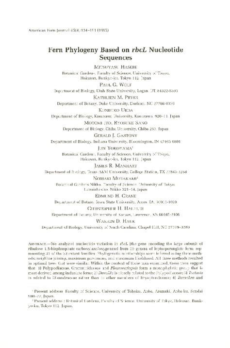 Pdf Fern Phylogeny Based On Rbcl Nucleotide Sequences