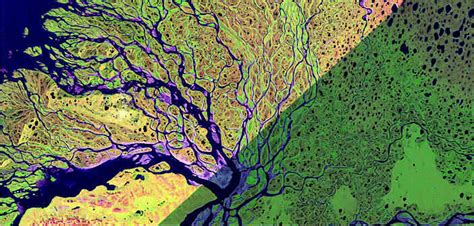 Gis And Remote Sensing In Conservancy And Wildlife Management Course