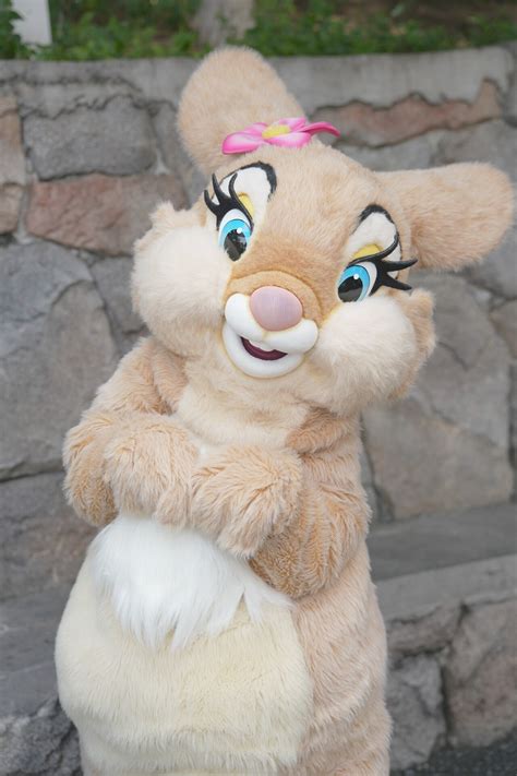 Rabbit In Dawn 劇的に頭皮の状態が改善したシャンプー