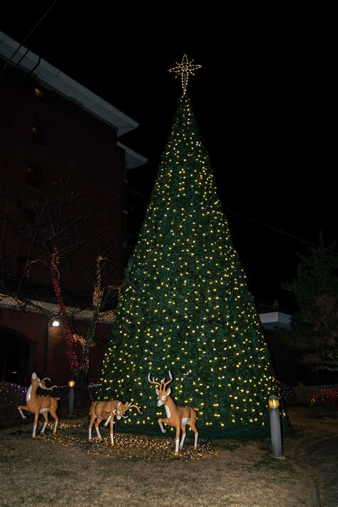 Dvids Images Usag Yongsan Hosts Tree Lighting Ceremony Image 3 Of 8