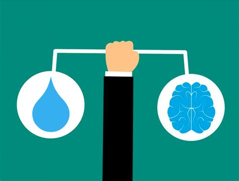 The Role Of Hydration In Mental Health And Cognitive Performance