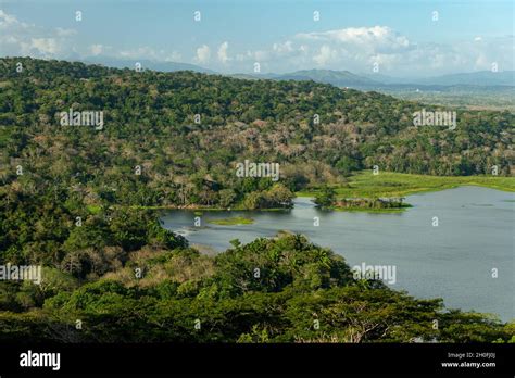 Regenwald Panama Fotos Und Bildmaterial In Hoher Auflösung Alamy